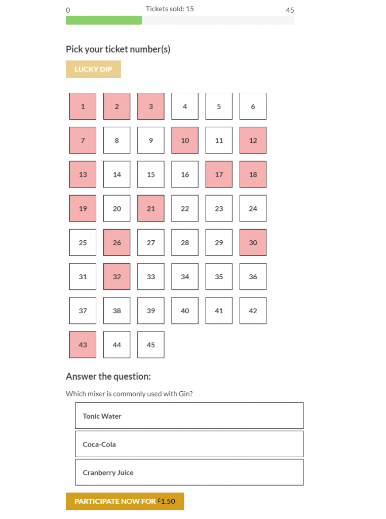 Raffle Website Design - Expert Competition Website Development